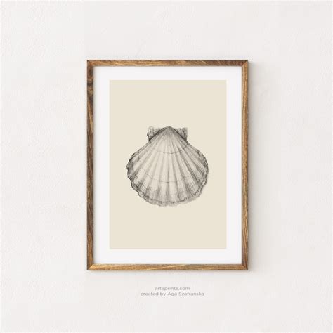 Shell Art Print Shell Illustration Scallop Shell Pencil Drawing