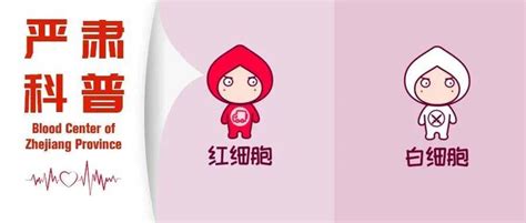 红细胞、白细胞的身世之谜，它们竟然是…… 身体 组织 人体