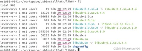 linux下编译安装libusb动态库 so libus1 0 vs libusb 0 1 libusb so csdn博客