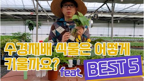 수경재배는 어떤 식물을 어떻게 키워야 잘키울까요 Youtube