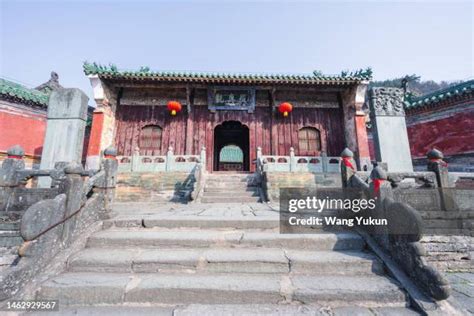 Wang Dao Photos And Premium High Res Pictures Getty Images