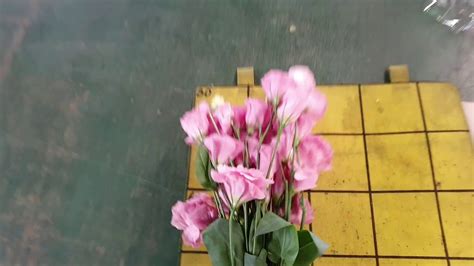 인터넷꽃도매시장 리시안셔스중간핑크 Youtube