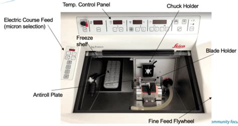 Histotechnology Cryotomy Flashcards Quizlet