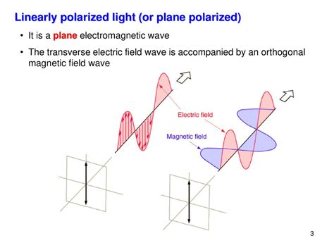 polarized light linear
