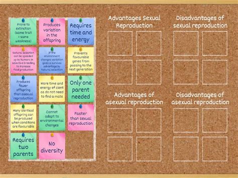 Advantages And Disadvantages Of Sexual And Asexual Reproduction Group Sort