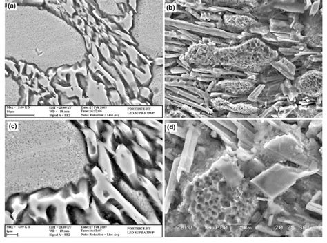 Microstructure Of The Alloy Treated At 550 °c Under Sem Examination
