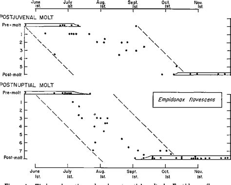 Figure 1 From Molt And Age Determination In Western And Yellowish Flycatchers Semantic Scholar
