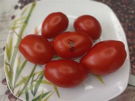 Семена: Томат Гном Красное Сердце /Dwarf red heart/. Сорта карлики и ...