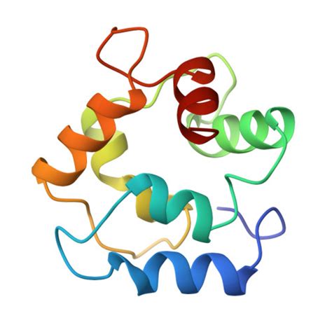 Rcsb Pdb 1b8c Parvalbumin