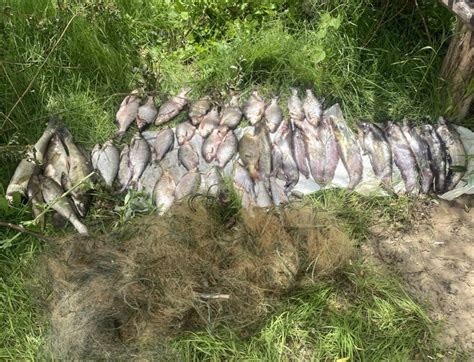 На Київщині спіймали браконьєра з уловом на понад 125 тис грн