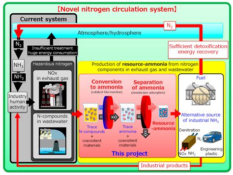 Global Nitrogen Cycle