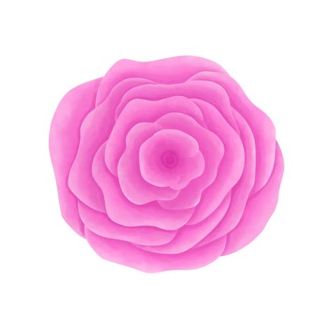 Pink Rose Watercolor Painting Pink Rose Illustration Pink Rose