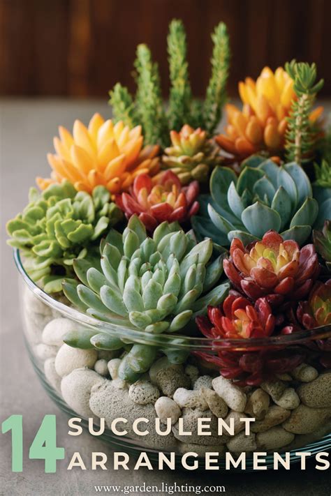 Succulent Arrangements Low Maintenance Succulent Arrangements