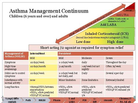 Drugs Used In Asthma And Antihistamines 1 Katzung