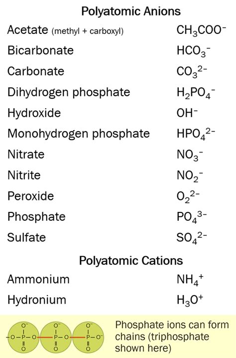 Functional Groups And Polyatomic Ions Integrated Human Anatomy And