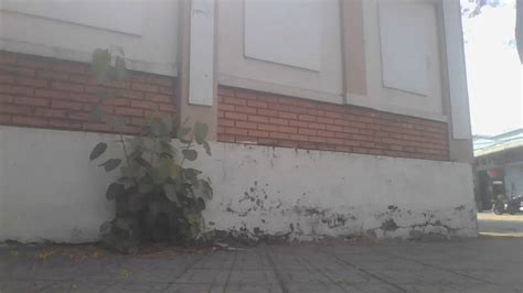 Litter Object Detection Dataset And Pre Trained Model By Ute