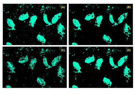 Javan Deer Detections Based On Drone Imagery Using Machine Learning Download Scientific Diagram