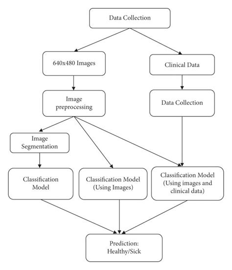 Different Methods Employed For Prediction Download Scientific Diagram