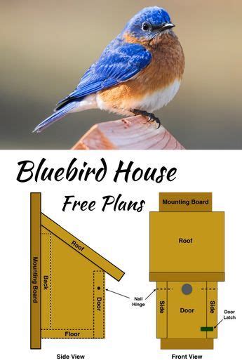 Make A Bluebird House Artofit