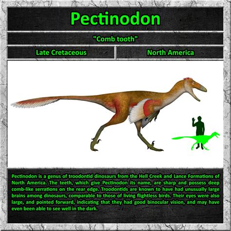 Pectinodon By Unexpecteddinolesson On Deviantart