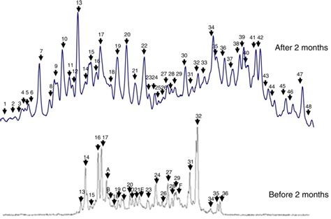 effect of storage on the dynamics of single strand conformation