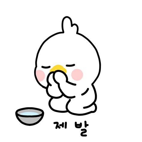 호남권 최초 코스트코 익산점 8월 착공…내년 개점 목표 오리광장 뉴덕