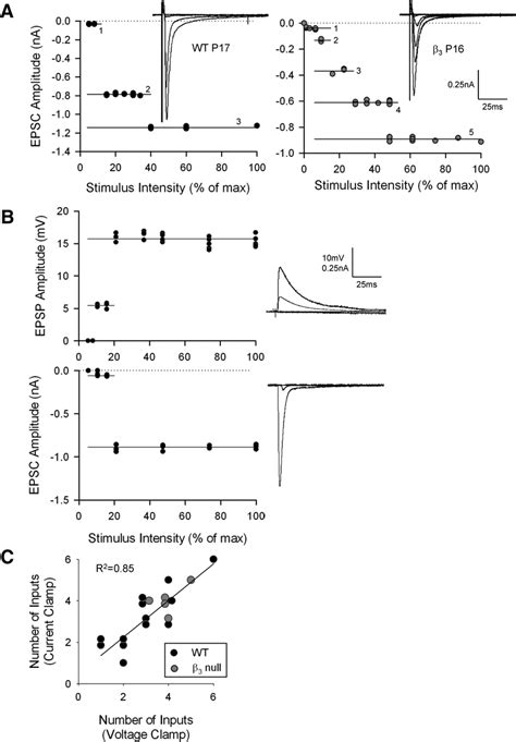 Estimates Of Retinal Convergence Obtained In Current Clamp And Download Scientific Diagram