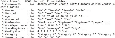 customer segmentation using r programming