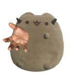 Larry Give Meme Generator Imgflip