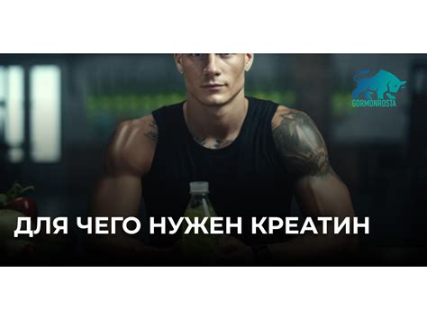 Креатин питание как принимать основные и побочные эффекты препарата