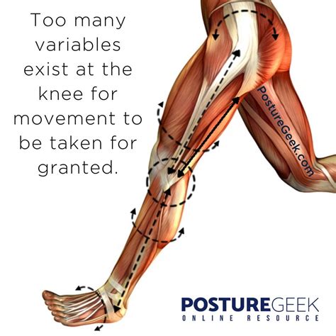 KNEE JOINT AND YOUR POSTURE Posture Geek