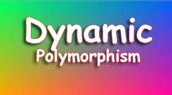 Dynamic Polymorphism In C With Programming Example
