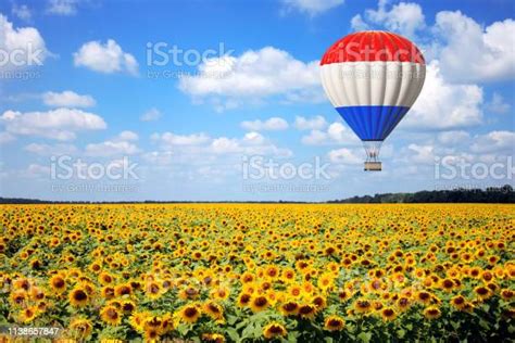 프랑스의 국기와 뜨거운 공기 풍선 해바라기 필드를 통해 비행 3d 렌더링 기에 대한 스톡 사진 및 기타 이미지 기 열기구 프랑스 Istock