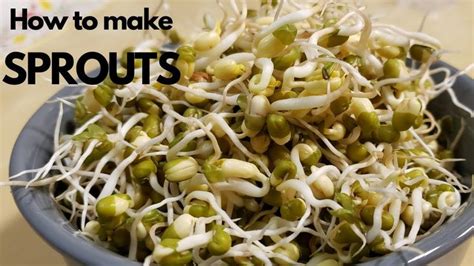 How To Make Sprouts अंकुरित मूंग दाल Sprouted Green Moong Dal High