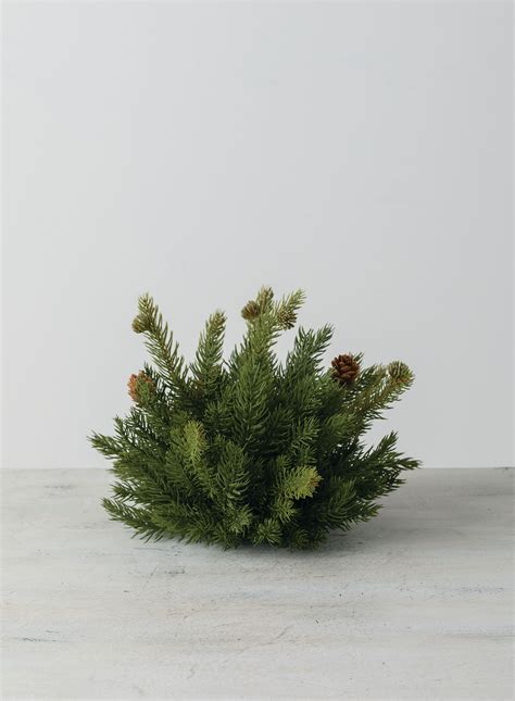 The Holiday Aisle® Decorative Cedar Pine Topiary Wayfair