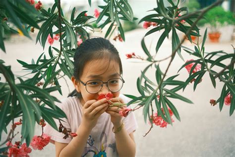 Beautiful Nepali Girl Photos Download The Best Free Beautiful Nepali