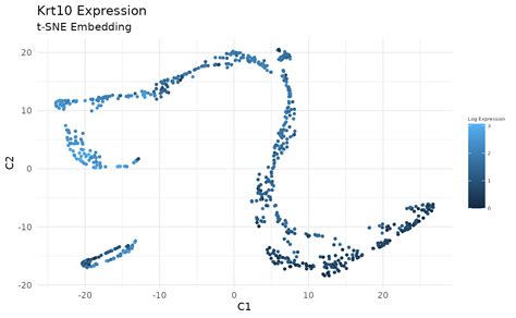 Clustering Pseudotime Inference On Skin Cell Scrna Seq • Rsoptsc