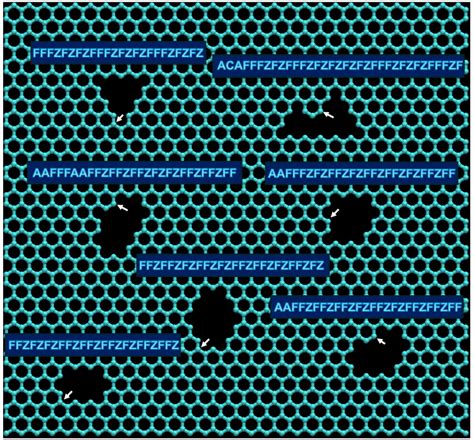 A New Language For Nanopore Design