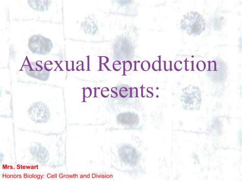 Asexual Reproduction Cell Division Honors Biology