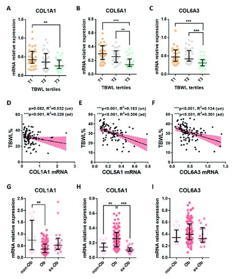 Association Of Collagen Mrna Levels With Tbwl And Bmi A C Comparison Download Scientific