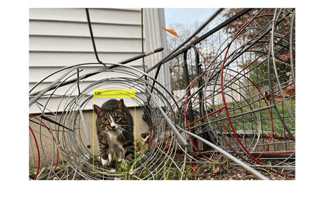 Detect Detect Objects Using Yolox Object Detector Matlab