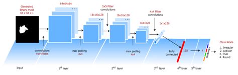Cnn Architecture For Tumor Shape Classification Download Scientific Diagram