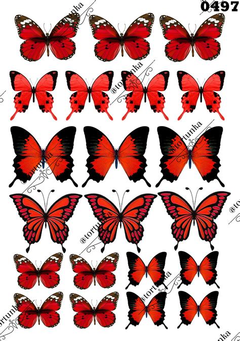 Купить Вафельна картинка з метеликами №0497 цена 50 грн — Prom Ua Id 1380046861