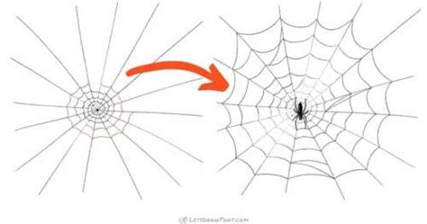 Spider Web Drawing An Easy Realistic Web