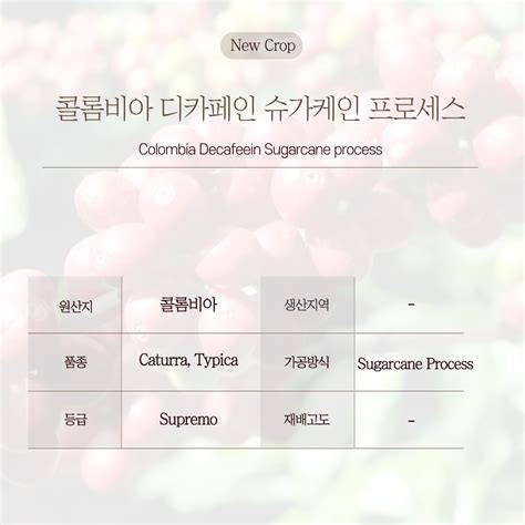 뉴크롭 생두 콜롬비아 디카페인 슈가케인 프로세스 20kg 이알코퍼레이션 공식홈페이지 L Ercorporation ㅣ 커피