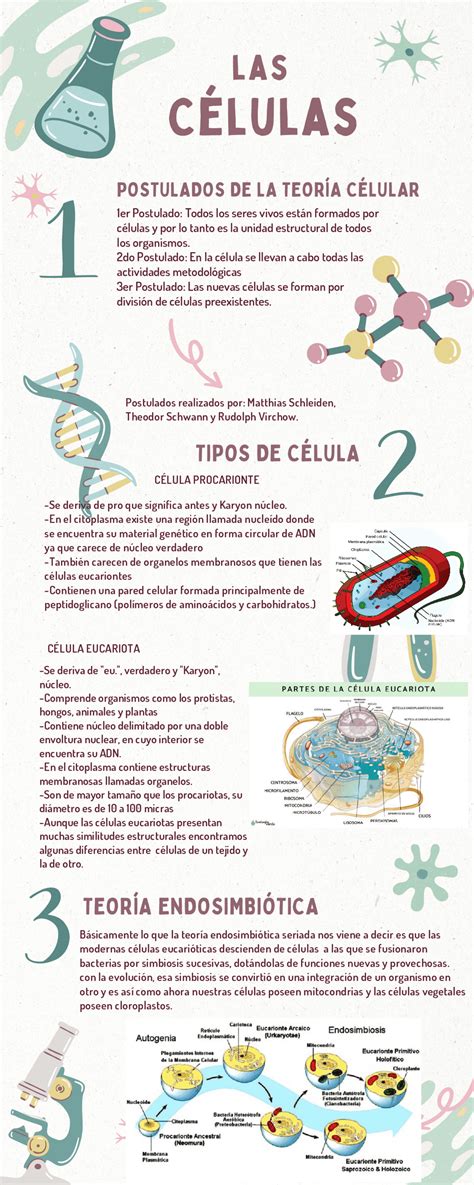 Ejemplo De Teoría Celular