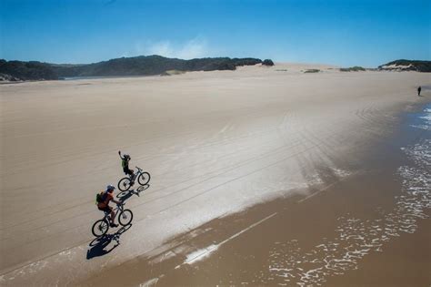 Niki Louw On Linkedin Recover To Build