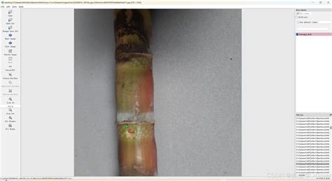 ＜数据集＞竹子缺陷检测数据集＜目标检测＞竹子数据集 Csdn博客