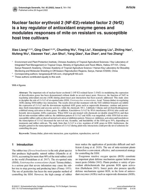 Nuclear Factor Erythroid 2 Nf E2 Related Factor 2 Nrf2 Is A Key