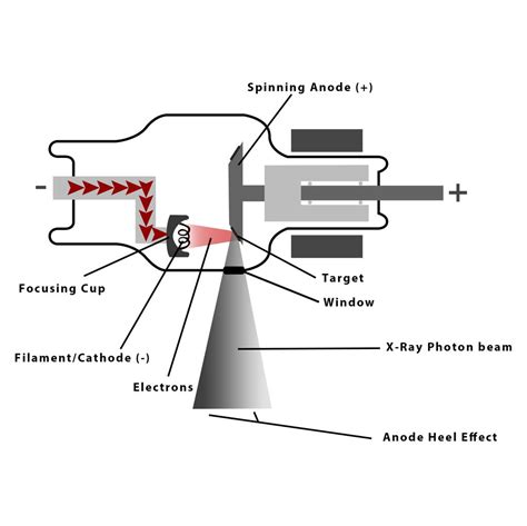 External Components Of X Ray Tube Govrez